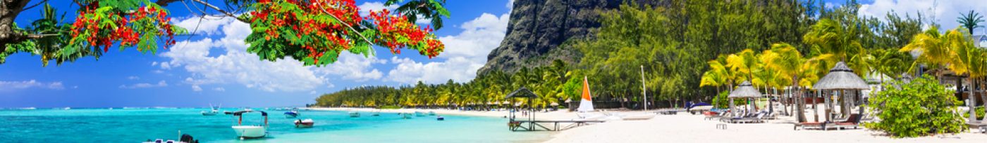 Work Permit Mauritius - DNB HR Associates